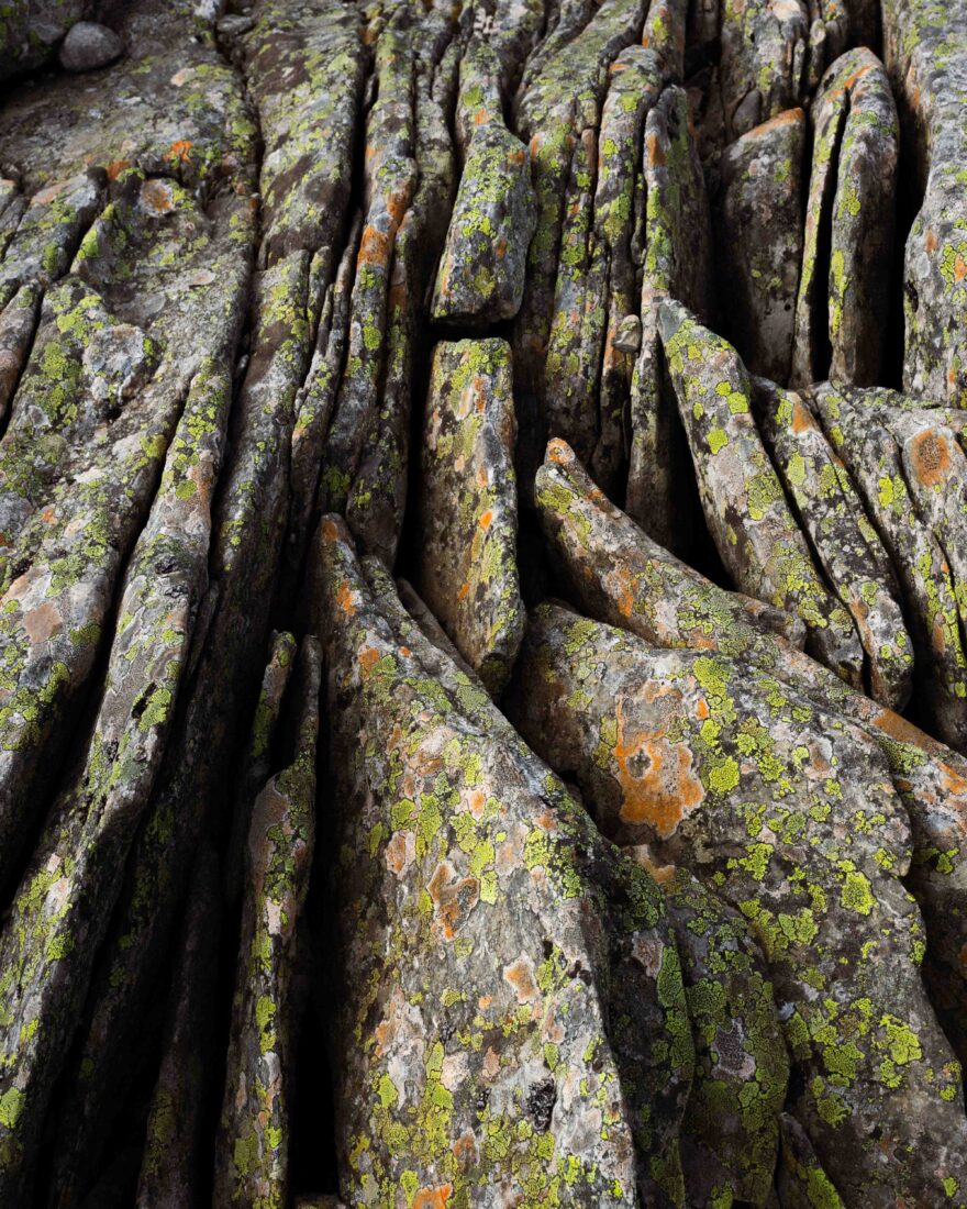 Guidelines for best execution - Odin